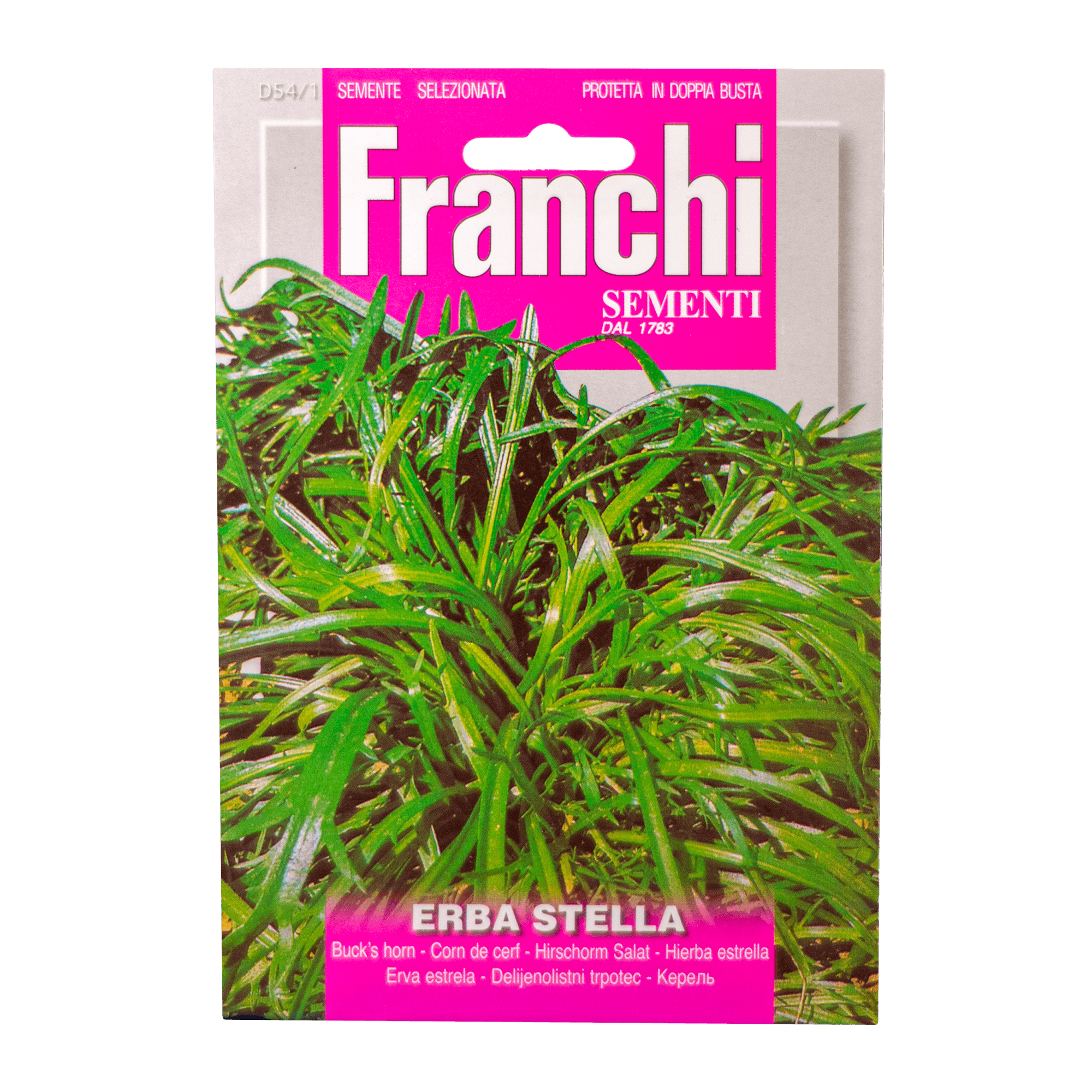 Hertshoornweegbree Erba Stella moestuin zaden kopen